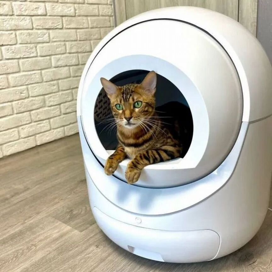 Автоматический лоток для кошек
