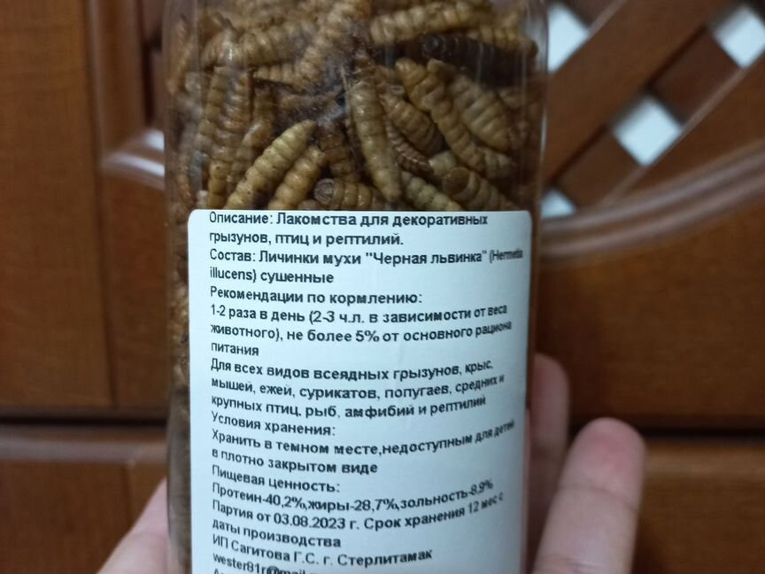 Личинки черной львинки