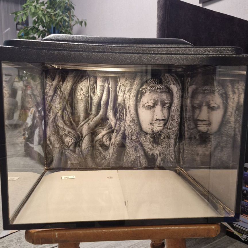 Аквариум террариум