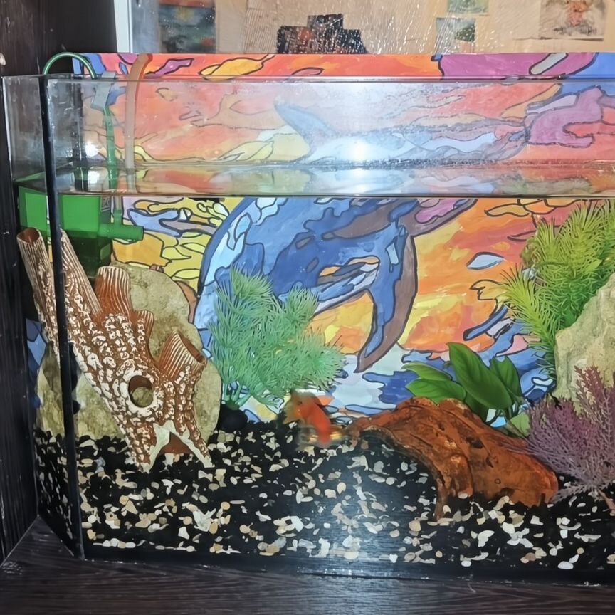 Аквариум с рыбками