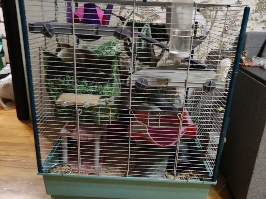 Клетка для грызунов большая