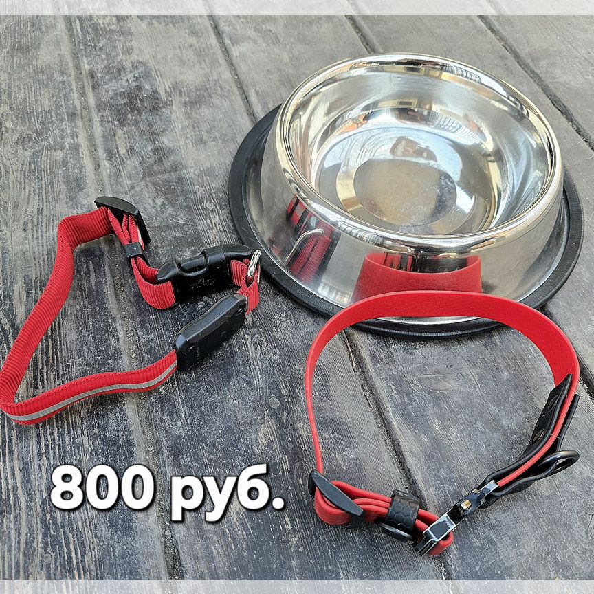 Ошейник для собак бу