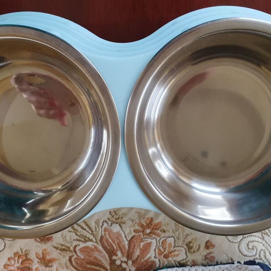 Вещи для маленьких собак