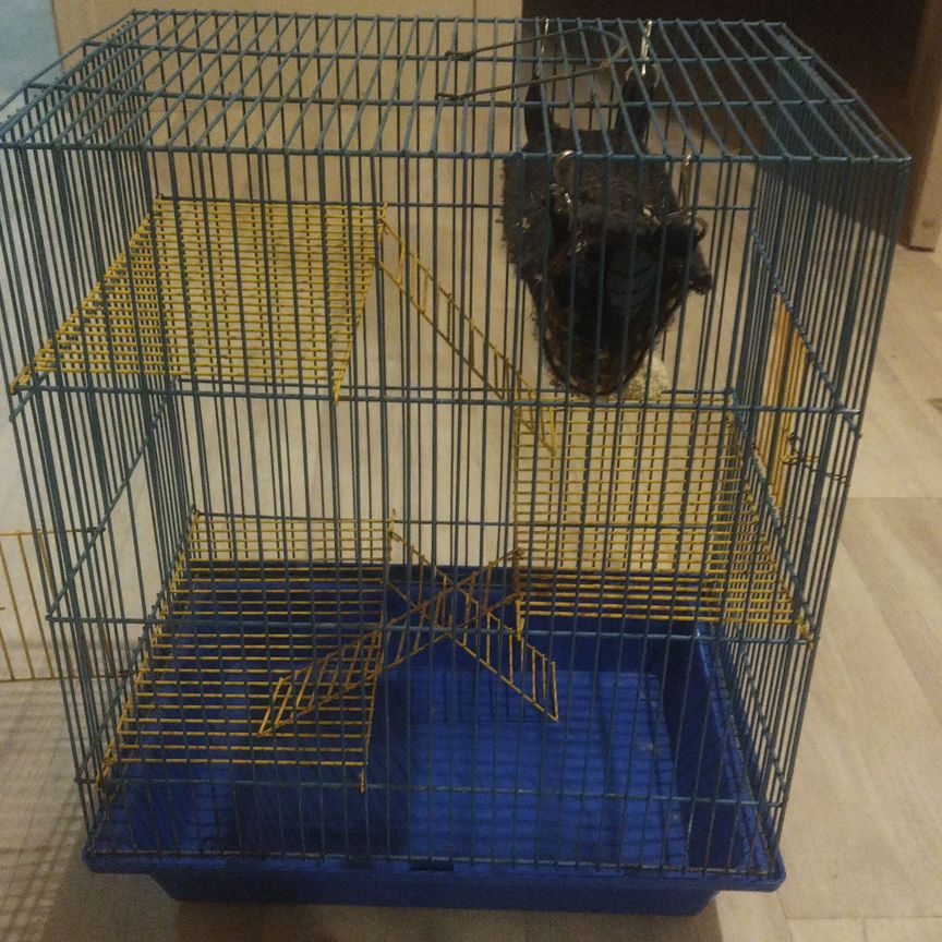 Клетка для грызунов