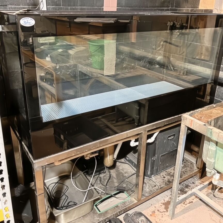 Аквариум 500 литров Adriatic Sea Aquatecno Economy