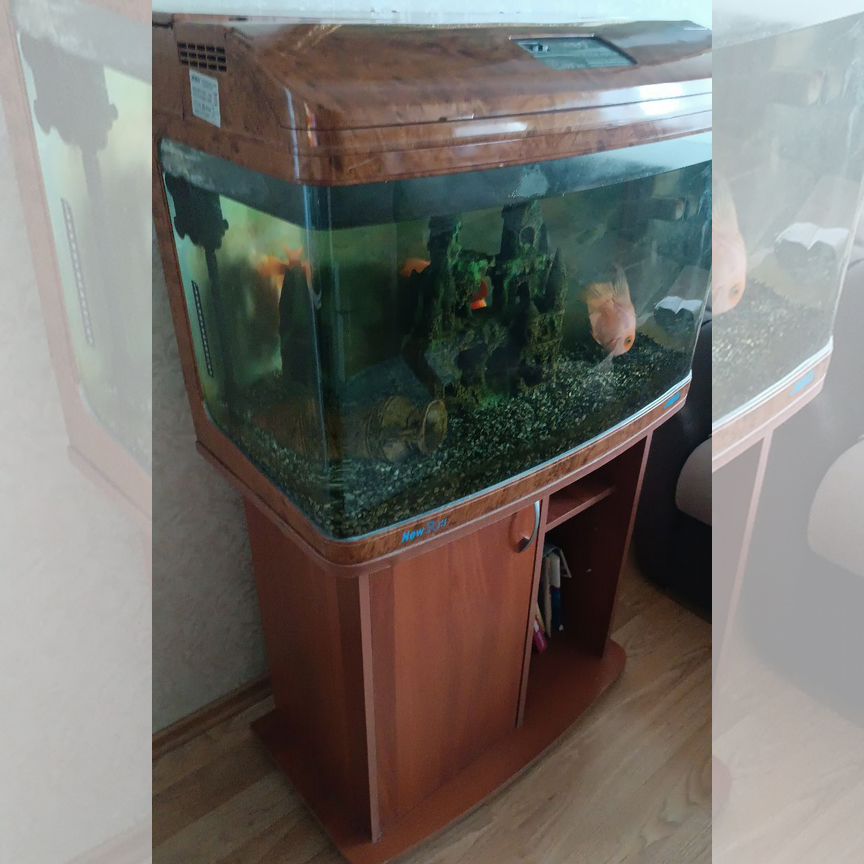 Аквариум с тумбой 140 литров jebbo