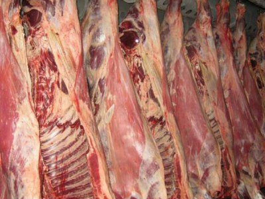 Мясо говядина для собак