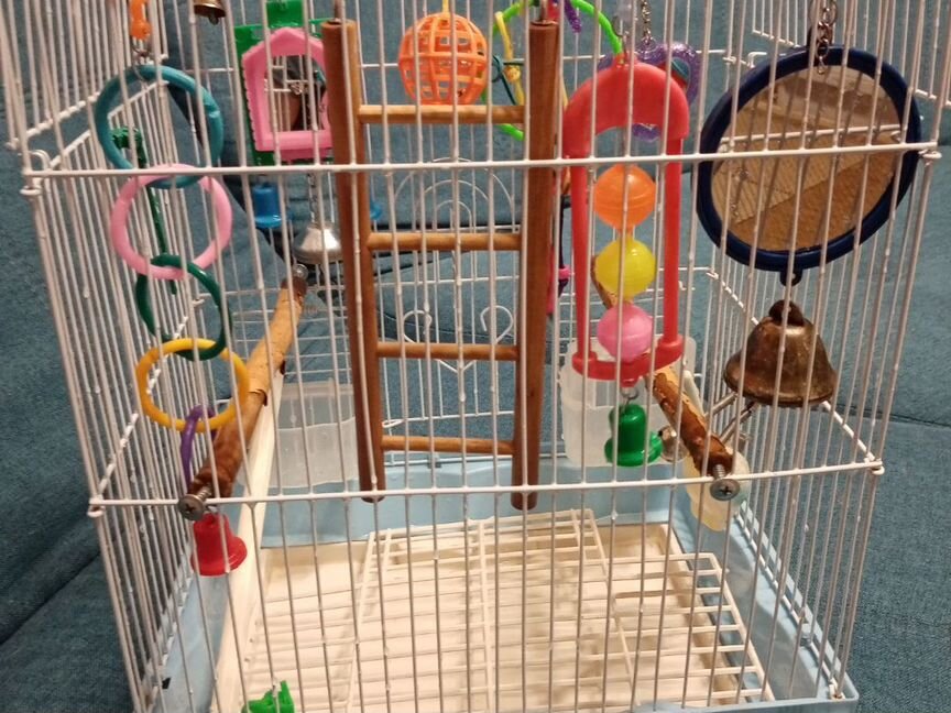 Клетка для попугая