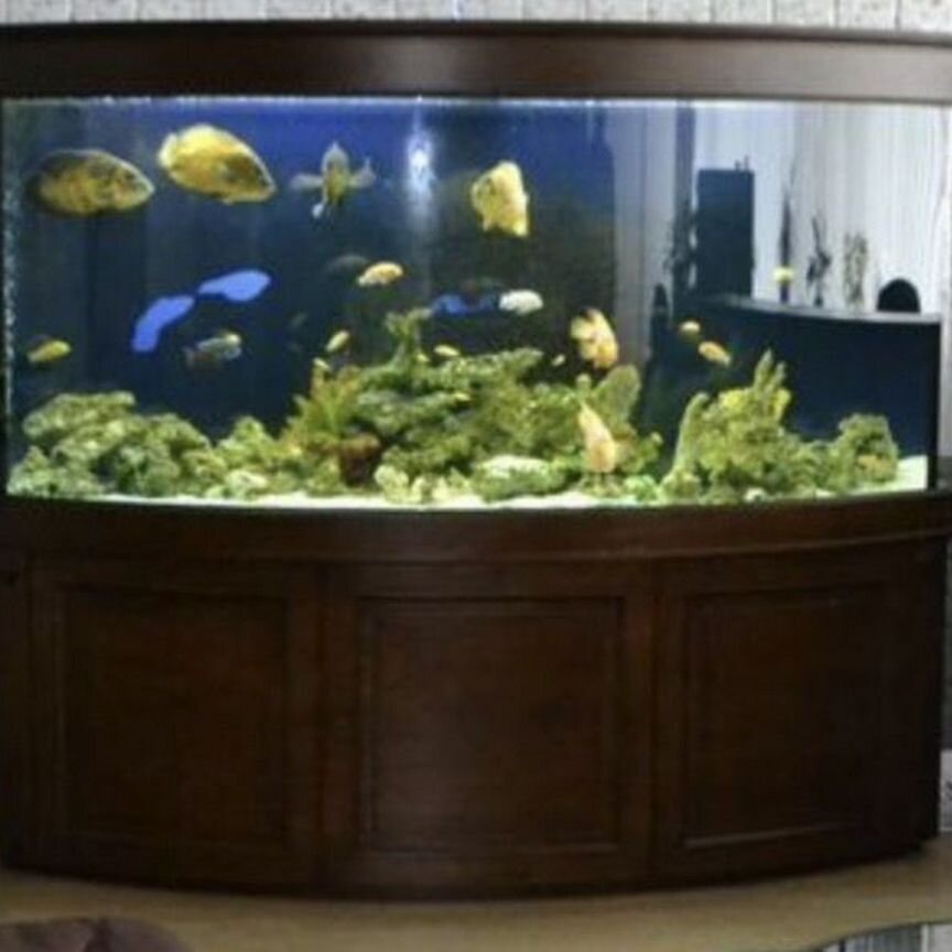 Аквариум