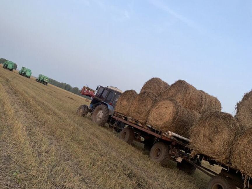 Сено и солома в рулонах