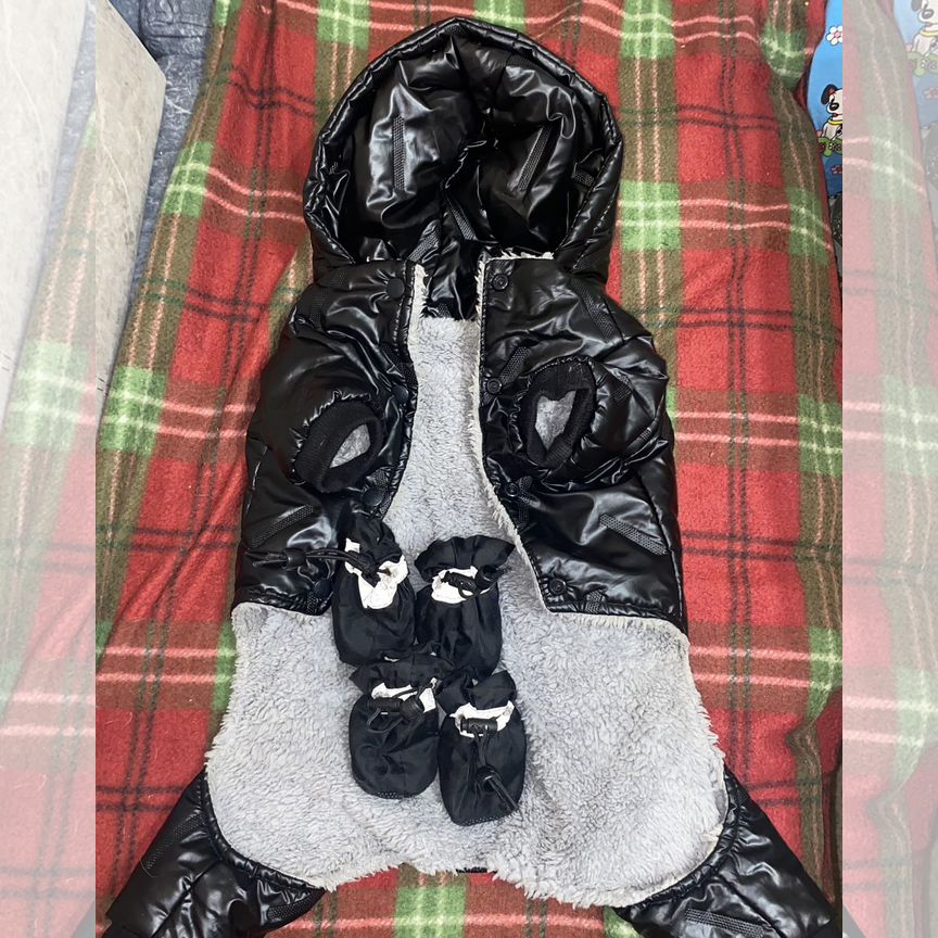 Одежда для собак мелких пород(куртка и ботинки)