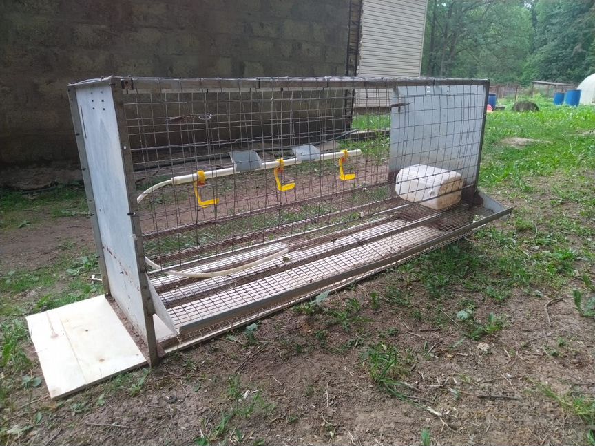 Клетки для кур несушек бу