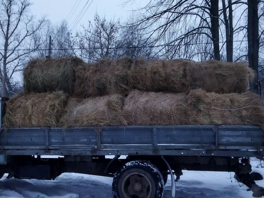 Сено в рулонах
