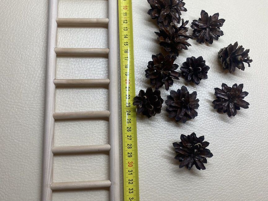 Для грызунов лесенка, наполнитель