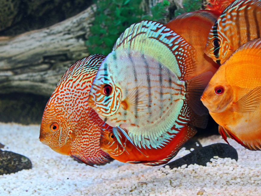 Установка и обслуживание