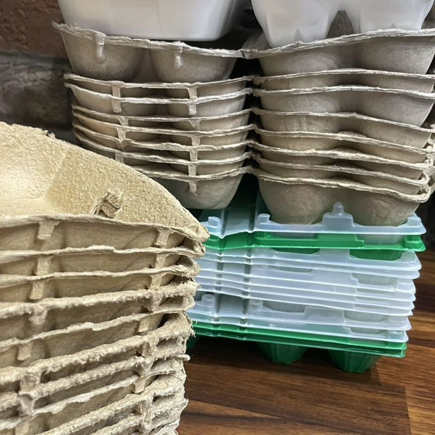 Ячейки для яиц