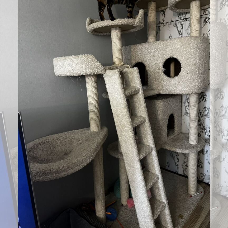 Когтеточка с домиком бу