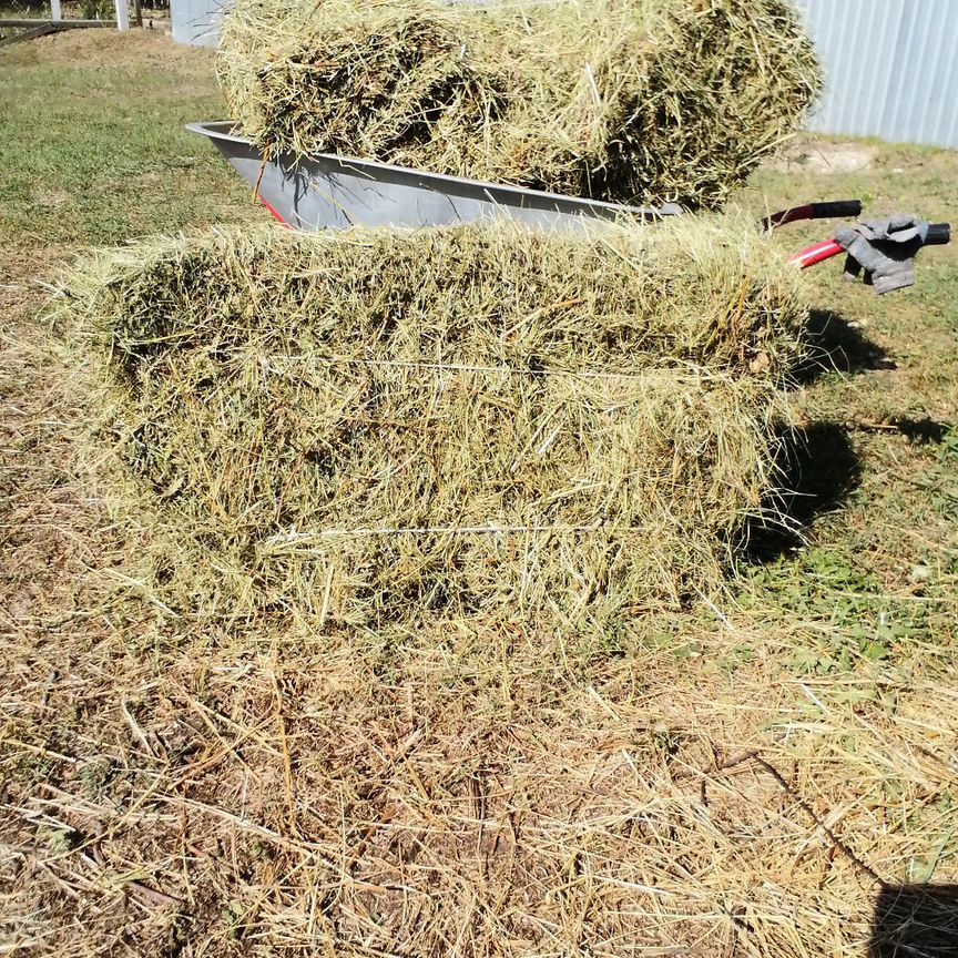 Сено в тюках