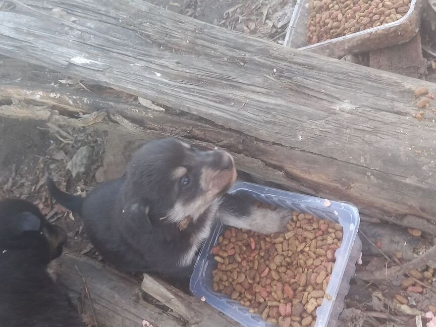 Им нужен дом.Малышня хочет жить