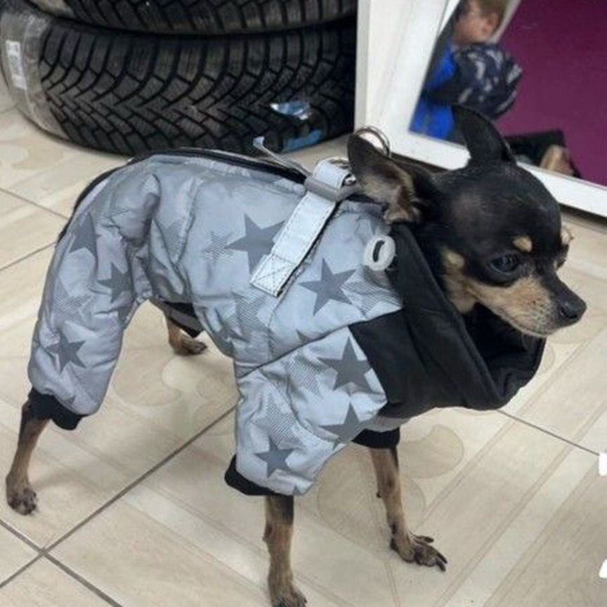 Комбинезон для собаки