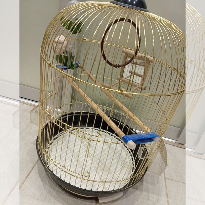 Клетка для попугая
