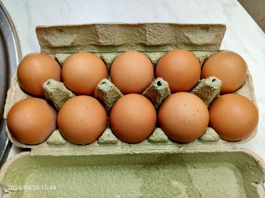 Домашние куриные яйца