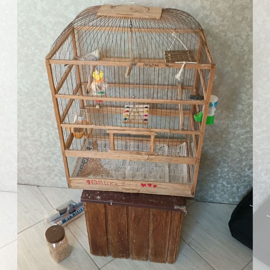 Волнистый попугай с клеткой