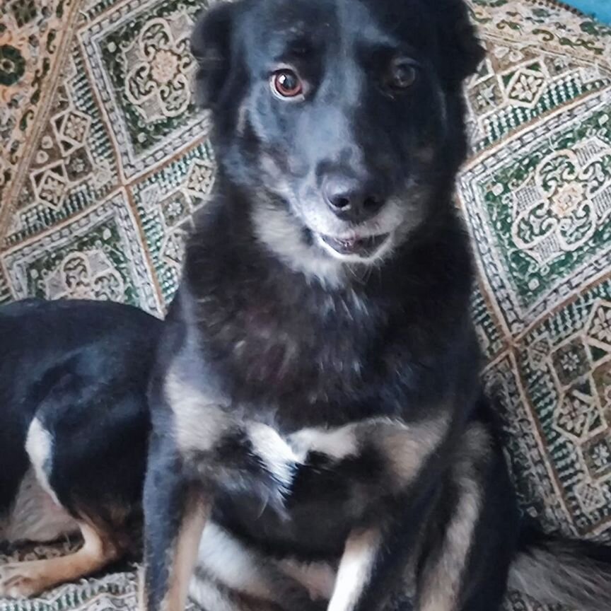 Манюня и Моня