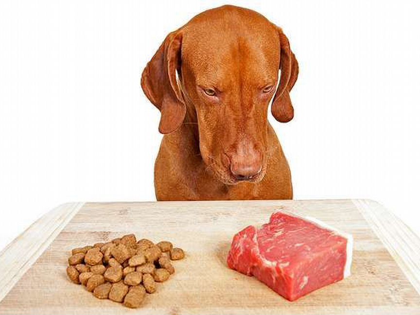 Мясо говядины в корм животным