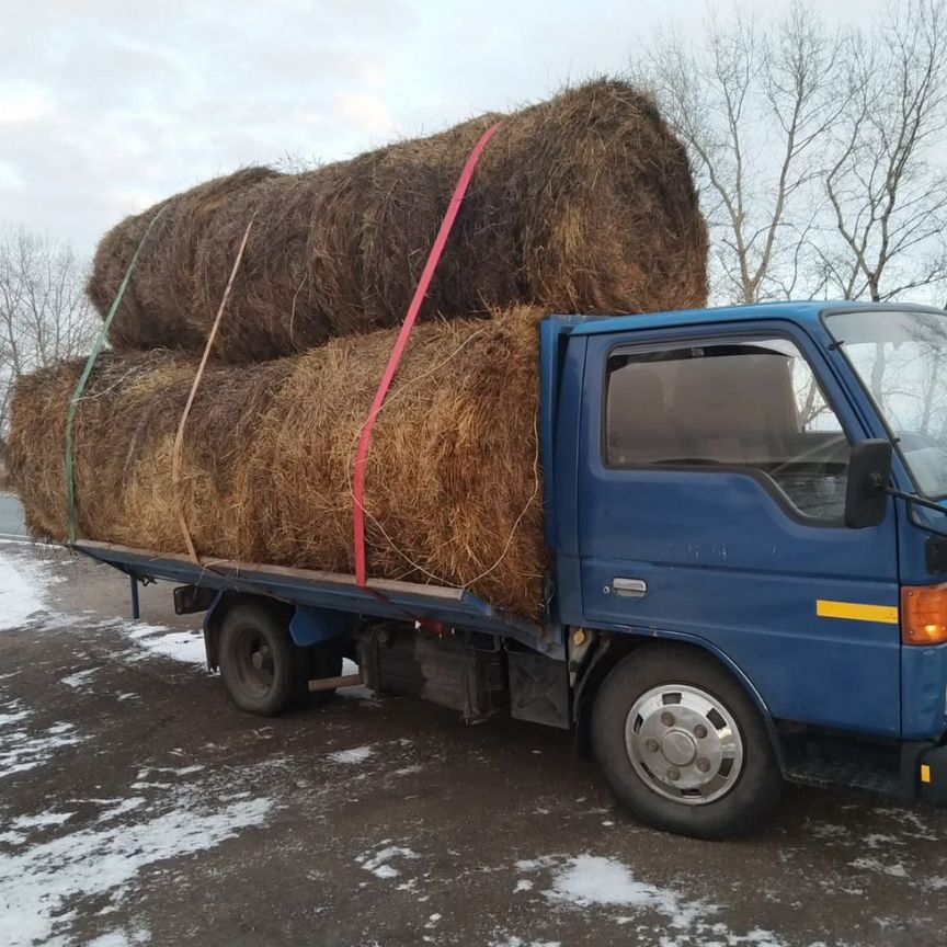 Сено в тюках
