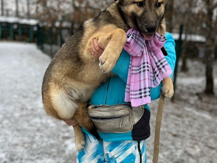 Малышка Лампа ищет дом