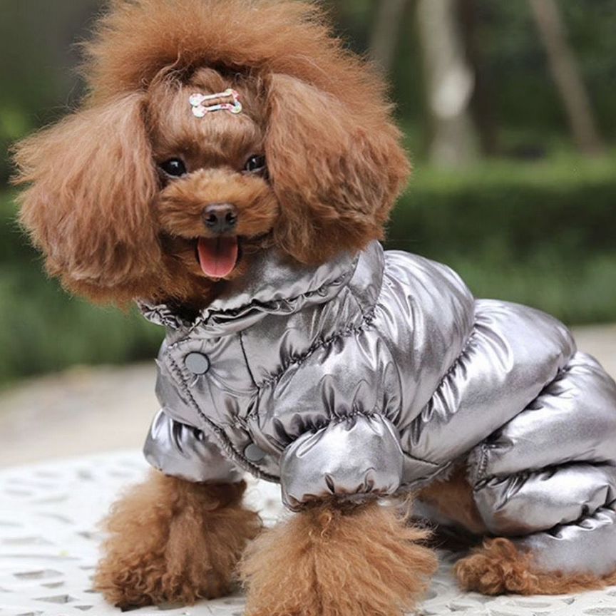 Пуховик для собак мелких пород