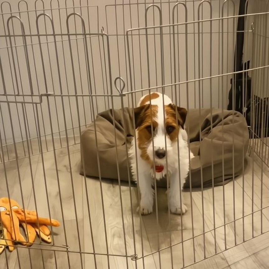 Вольер для животных в квартиру