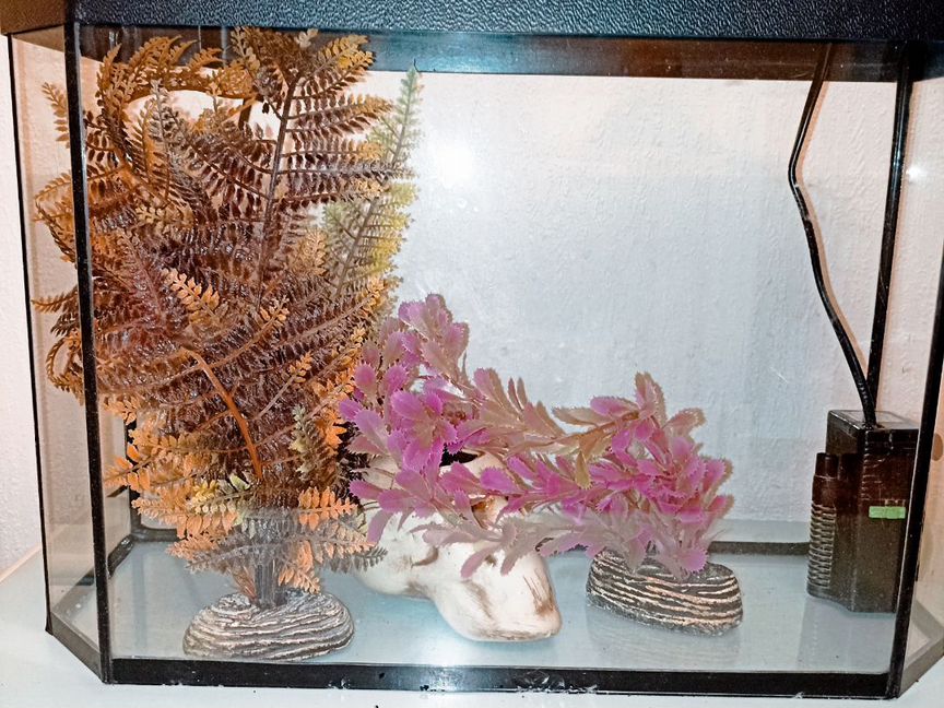 Аквариум полный комплект состояние нового