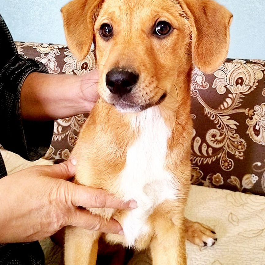 Солнечная девочка