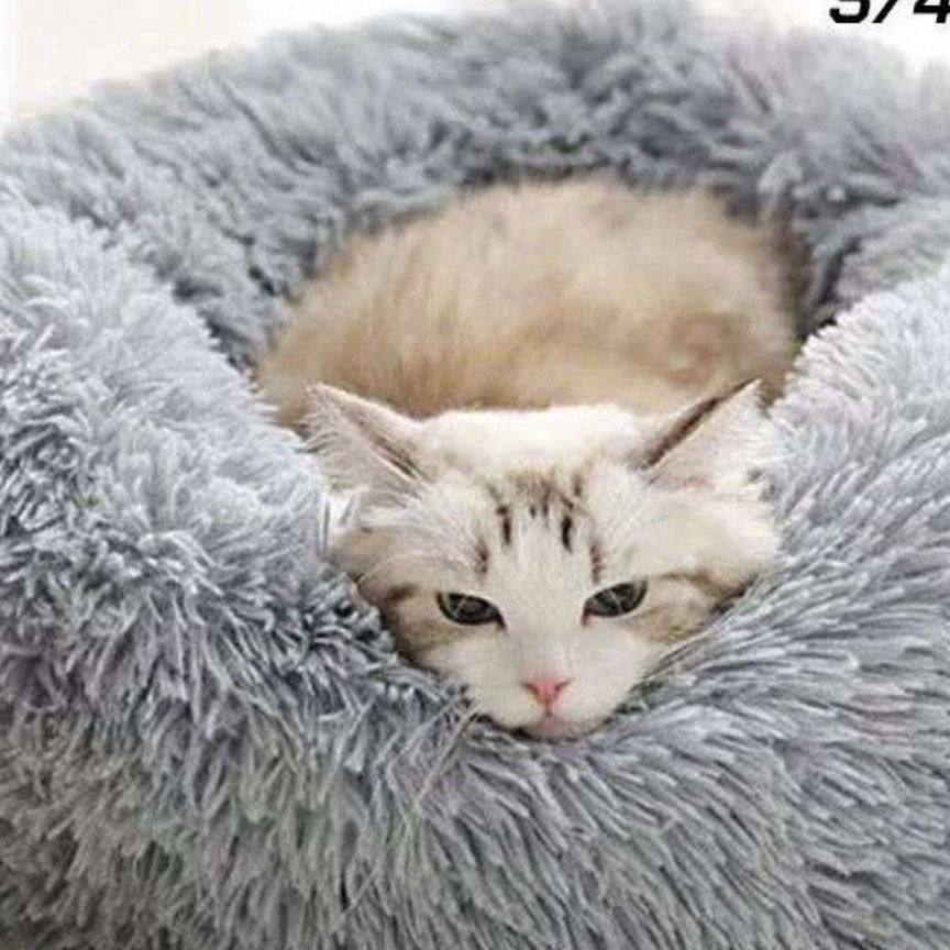 Лежанка для кота