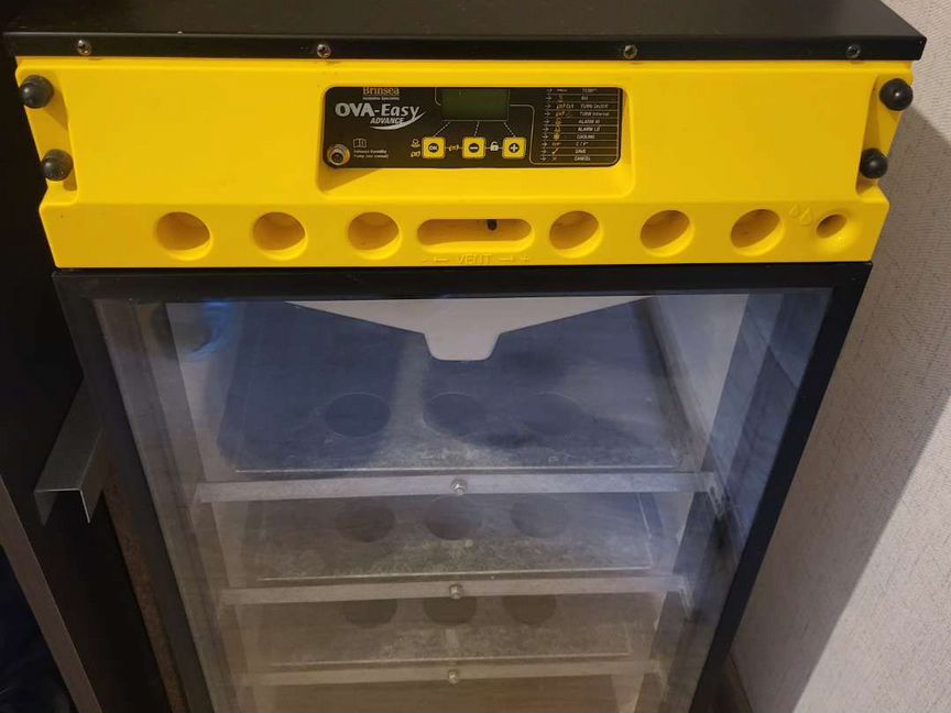 Инкубатор для яиц Brinsea OVA easy advance
