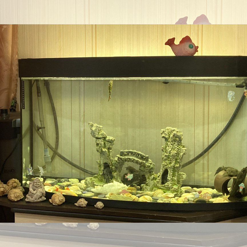 Аквариум на 150 литров