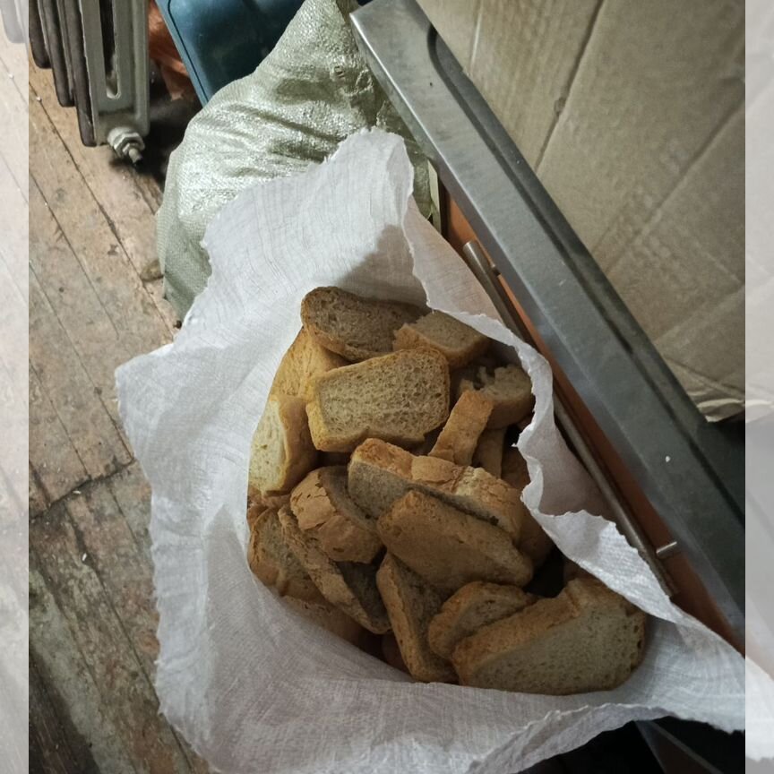 Хлеб на корм животным