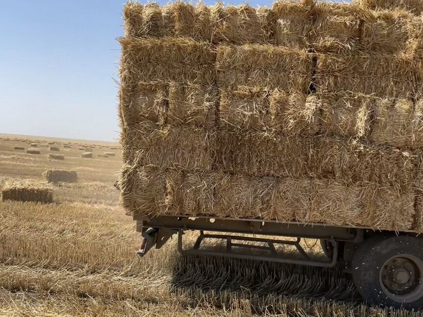 Сено в тюках