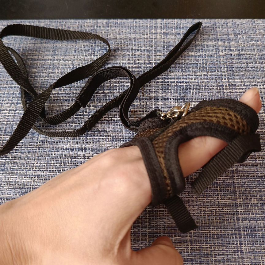 Шлейка поводок для грызуна, крысы