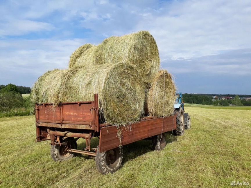 Сено в рулонах