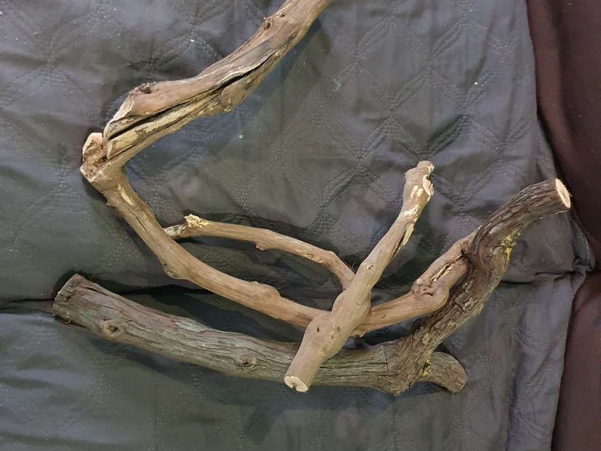 Коряги для аквариума