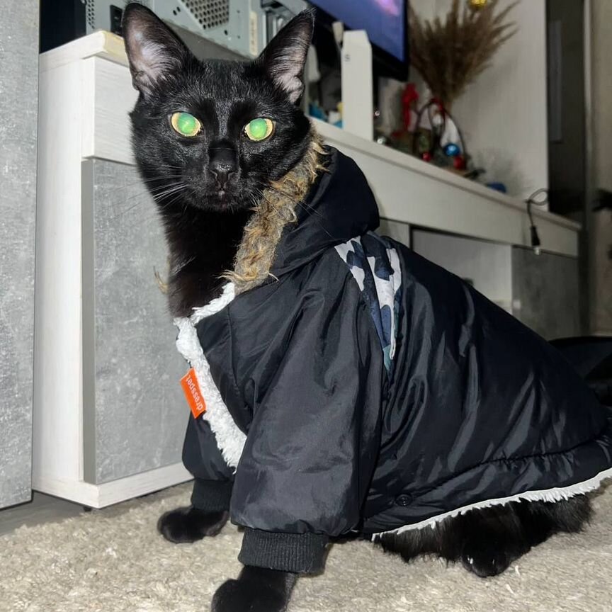 Куртка для собак/кошек мелких пород