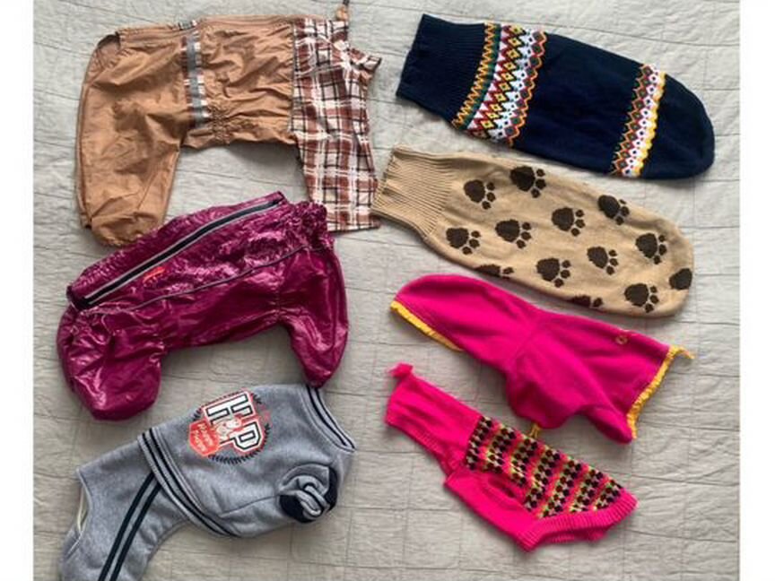 Одежда для собак мелких и средних пород