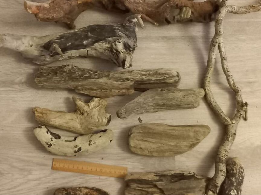 Коряги дрифтвуд