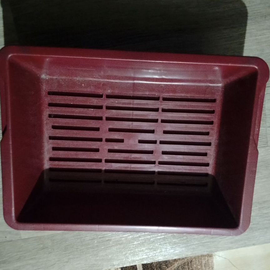 Кошачий лоток