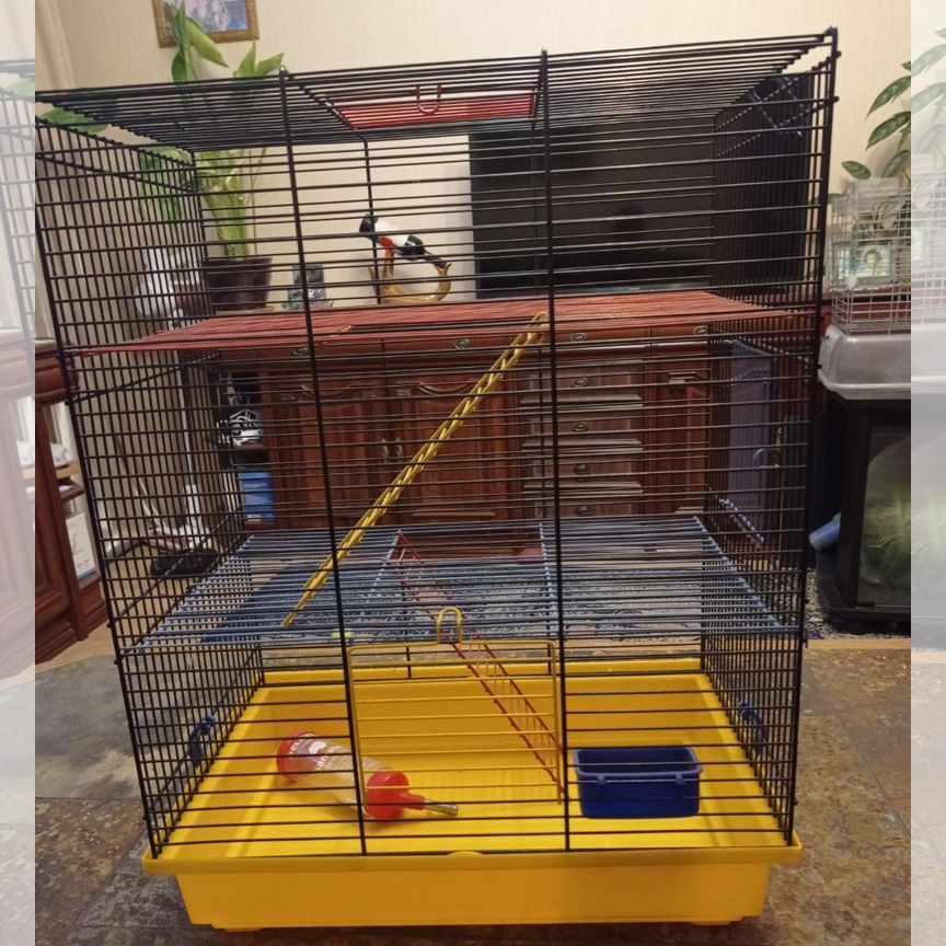 Клетка для грызунов большая