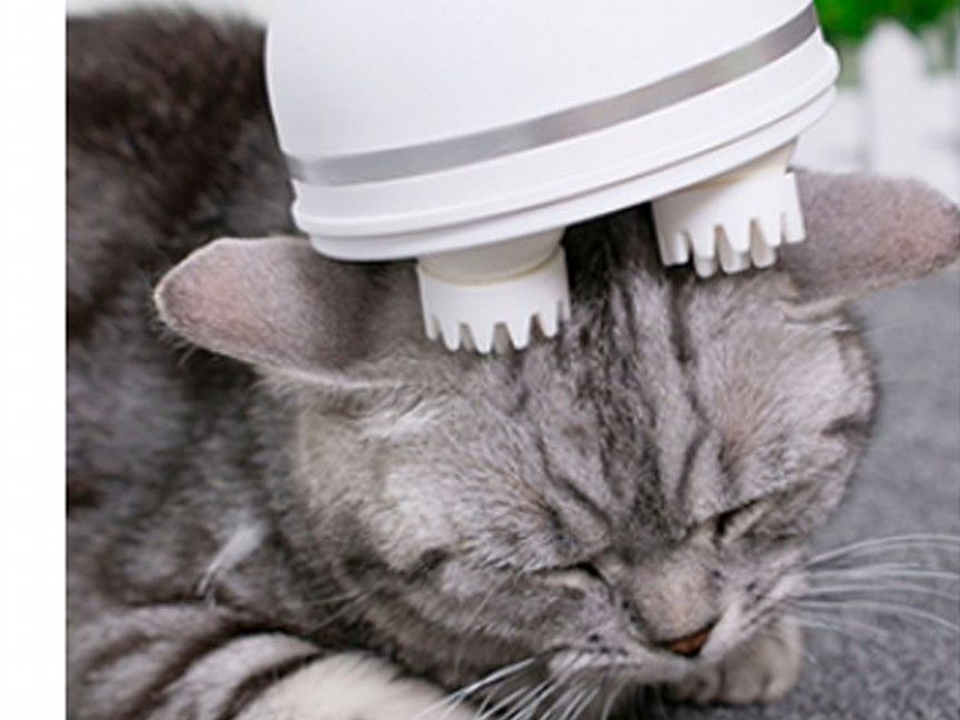 Игрушки для животных