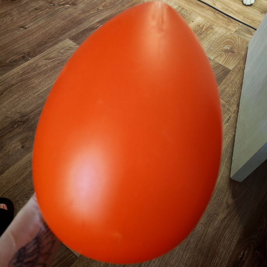 Неуловимое яйцо